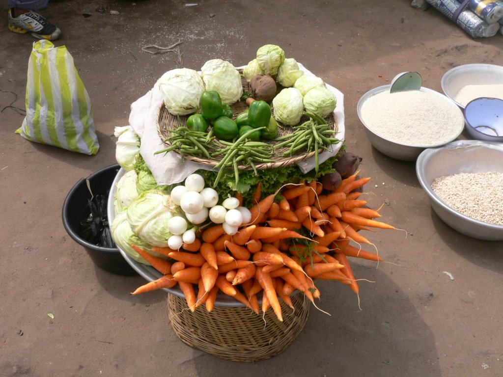 Lomé Cotonou en ulm pendulaire